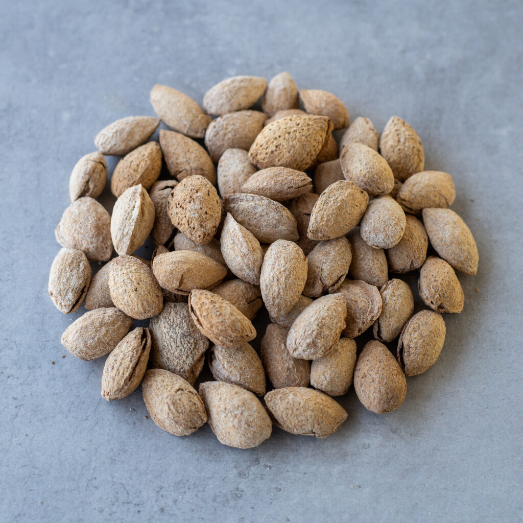 Almond Roasted Salted In-Shell - California Gourmet Nuts Online Shop